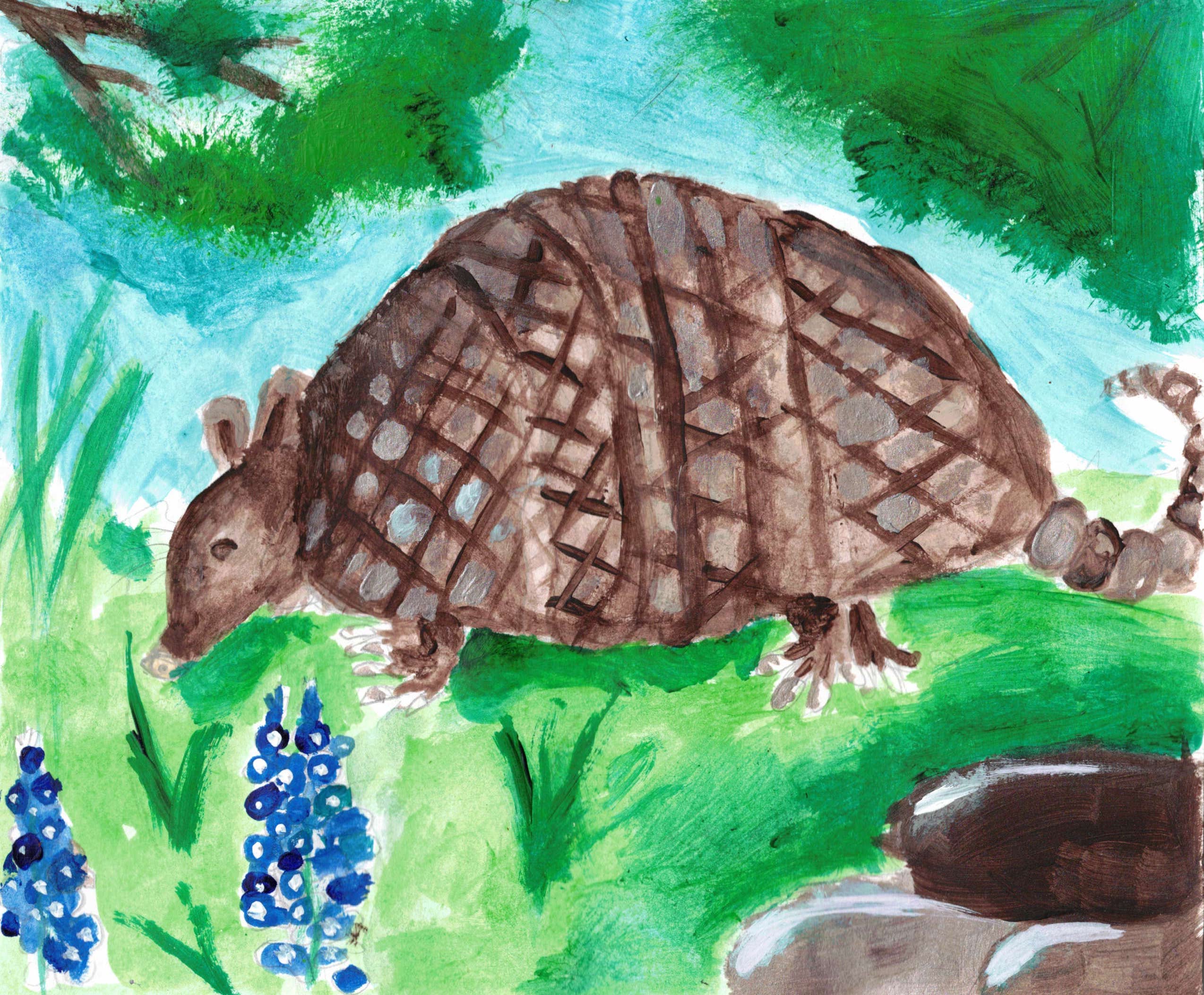 K-3rd Safia Afseen Artwork - River Legacy Nature Center